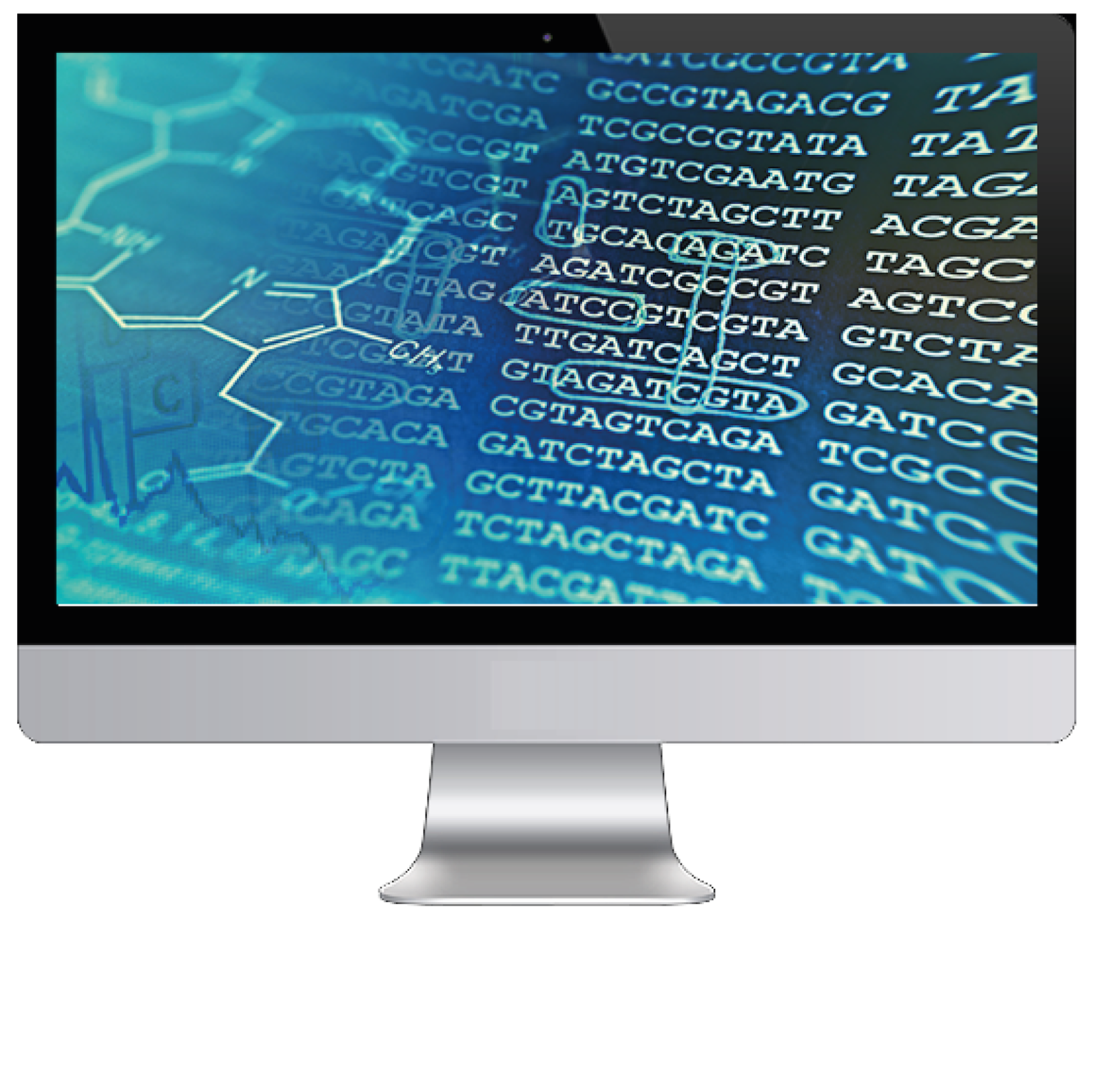 4bases – When Precision Matters