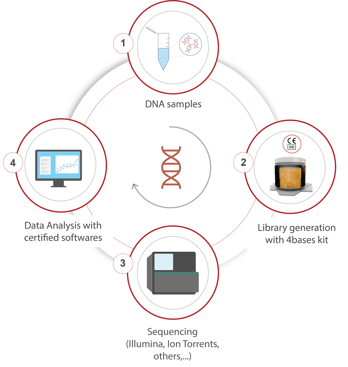 Data Analysis – 4bases