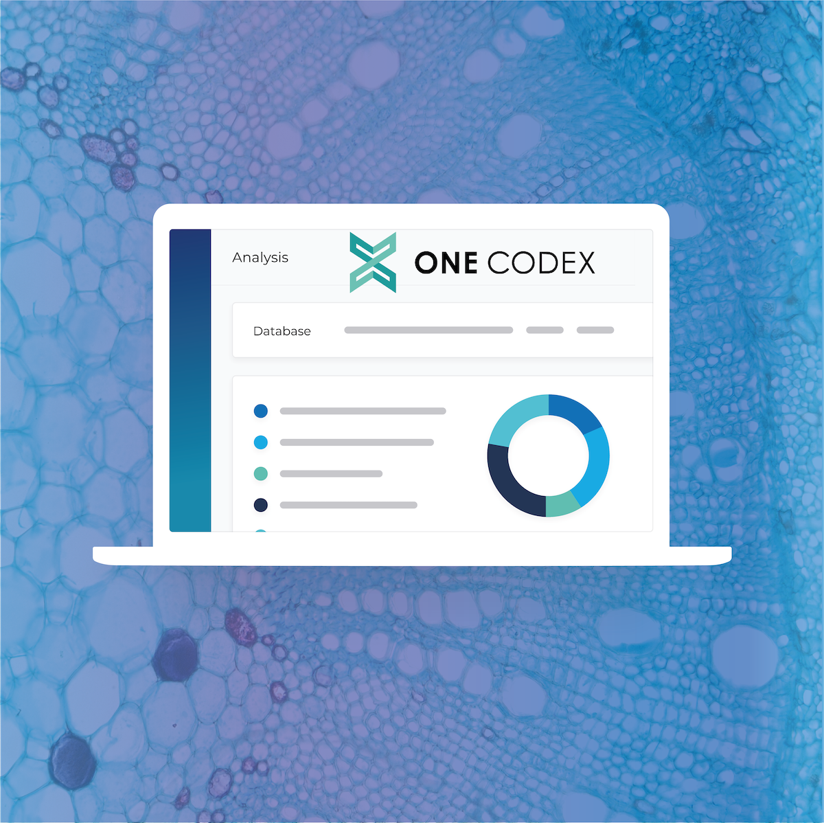 Microbiome Suite – 4bases