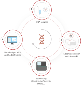 Data Analysis – 4bases