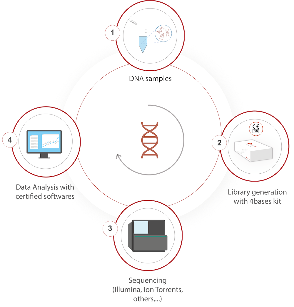 Data Analysis – 4bases