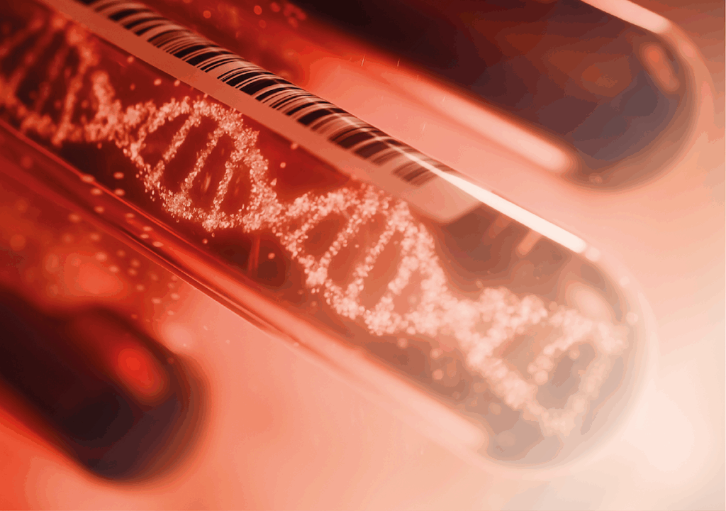 4bases – When Precision Matters